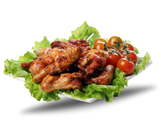 about us – terra-brazil